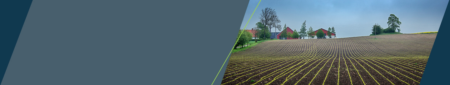 MaisTer - Crop Science Sverige