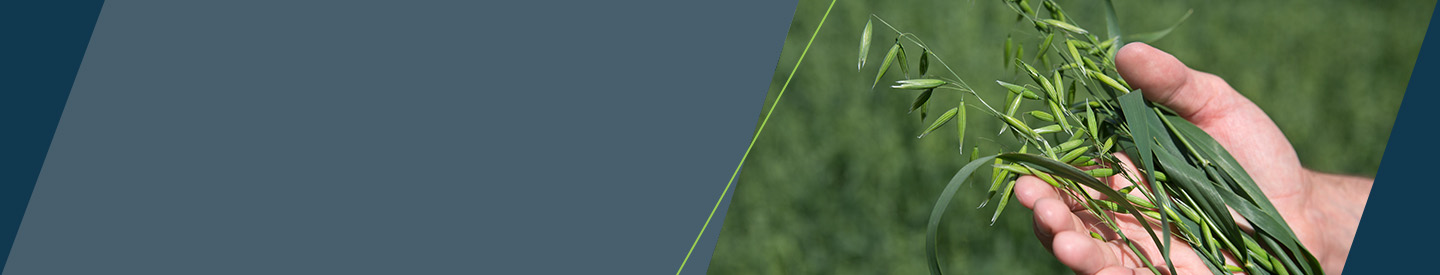 Proline EC 250 - Crop Science Sverige