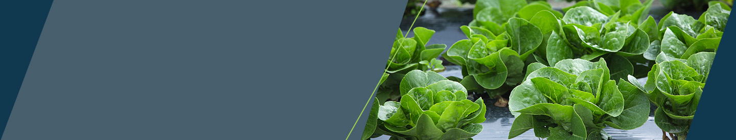 Aliette WG 80 - Crop Science Sverige