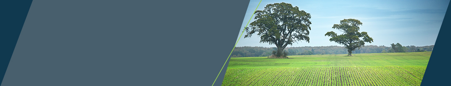 Mateno Forte Set - Crop Science Sverige