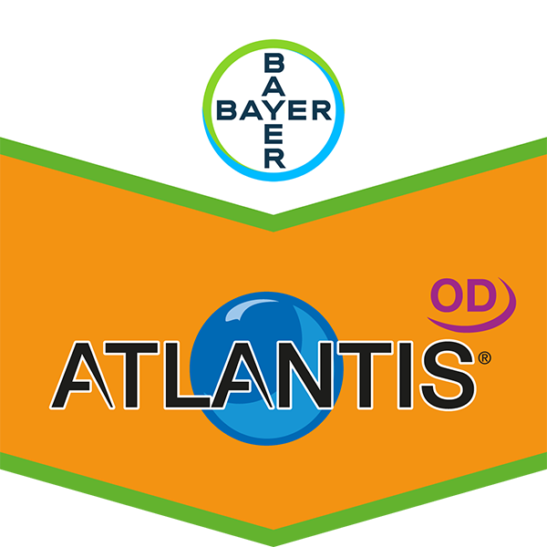 Atlantisvädret - Crop Science Sverige