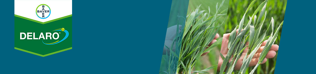 Crop Science Sverige