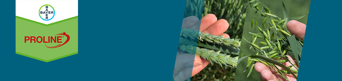 Crop Science Sverige