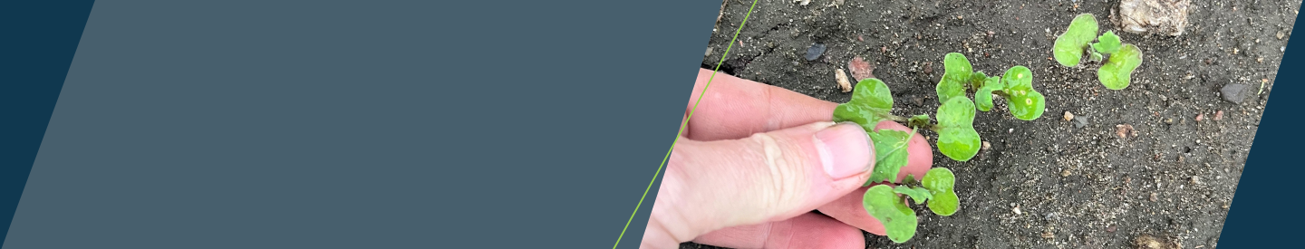 Crop Science Sverige